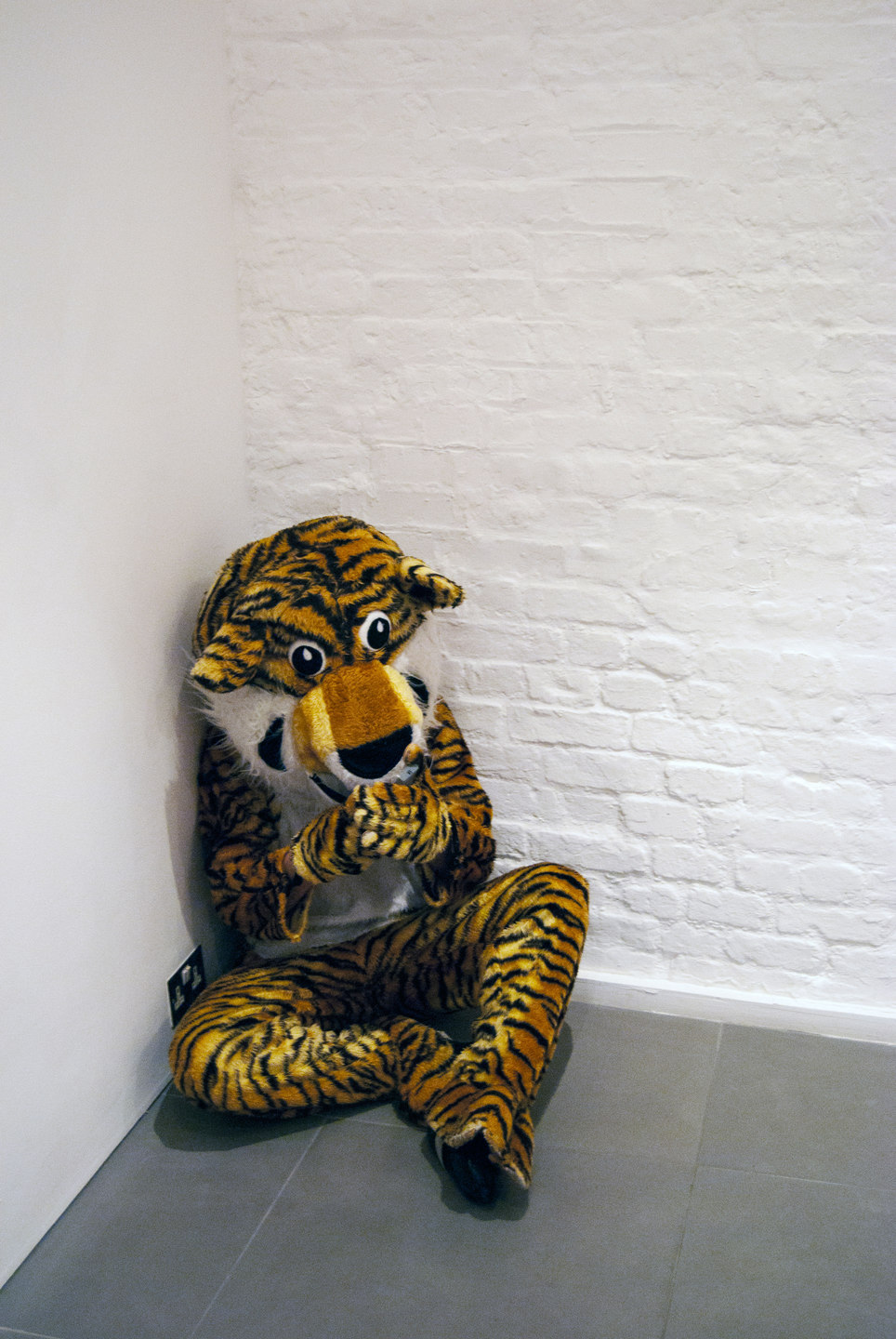 DEM | Cell Project Space