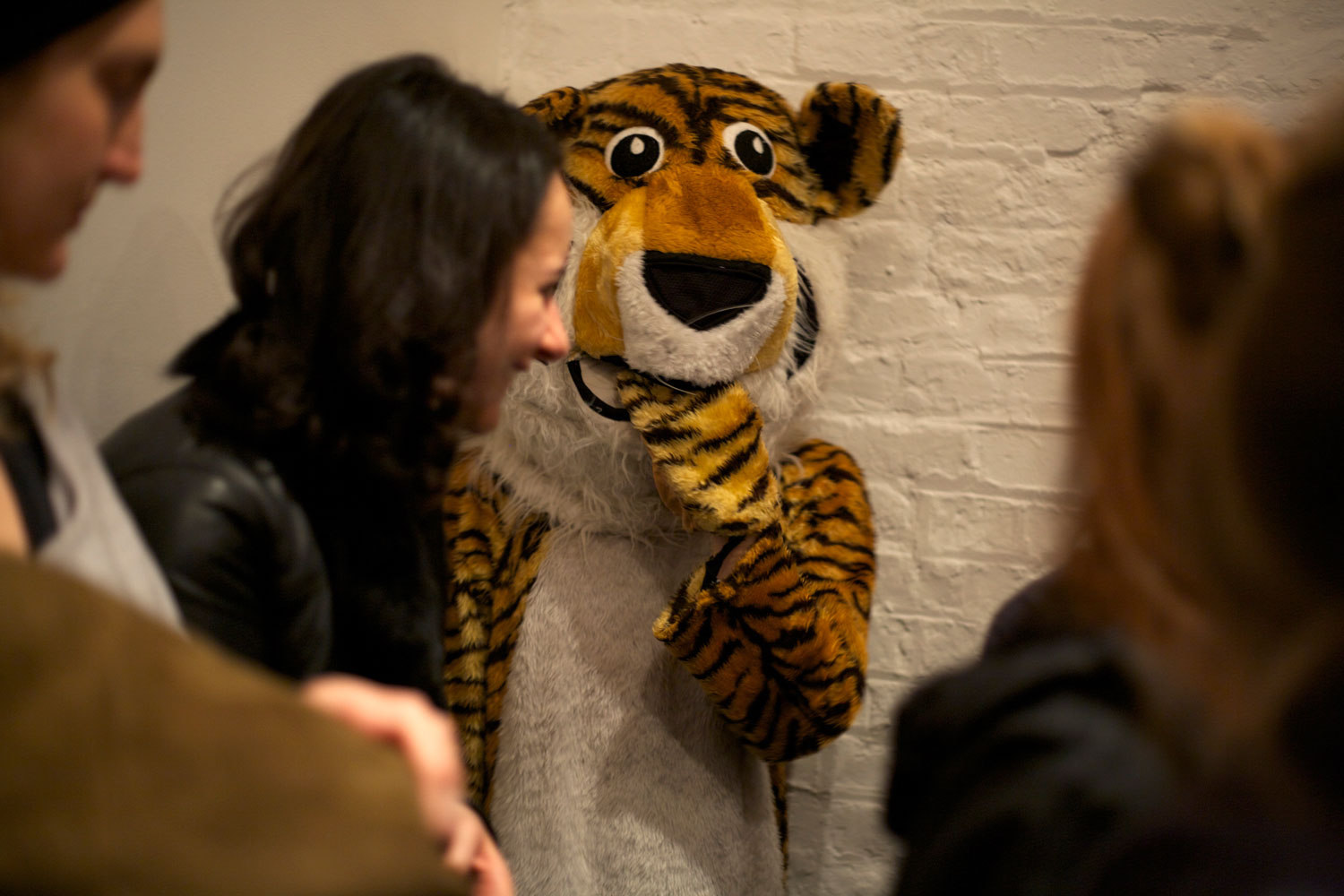 DEM | Cell Project Space